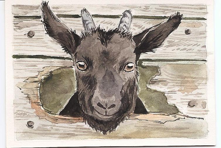 Wayward Goose Farm: Tiny Paintings