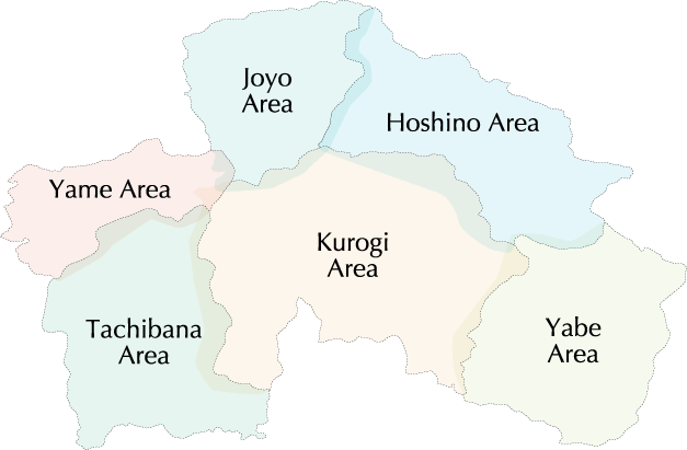 Eye in the Sky: Reiganji Temple and the Monk who Brought Tea to Kyushu ...