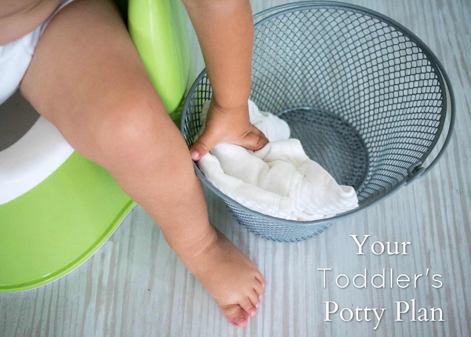 Your Toddler's Potty Plan