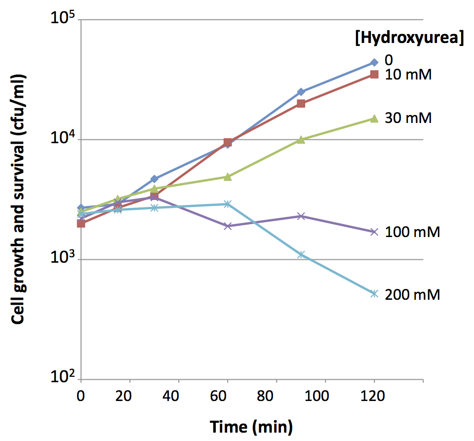 RRResearch: Hydroxyurea stalls DNA replication; does competence help ...