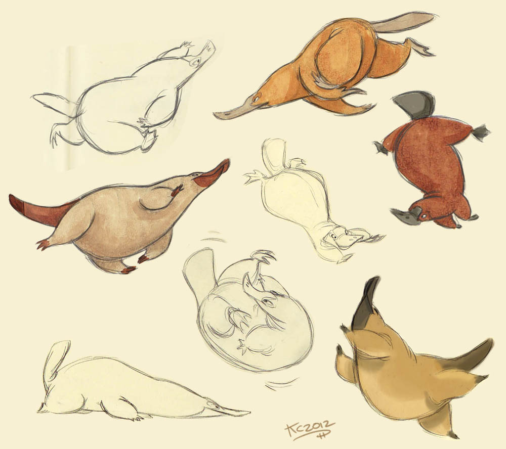 The Polarkeet Den: Platypus