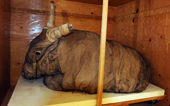 Kabar Baik: Tatanan Dunia Baru merupakan tanda Akhir Zaman 1