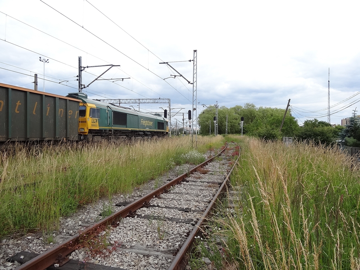 Firmowy pociąg FPL na stacji Kielce Herbskie: Class 66604 z węglarkami ...