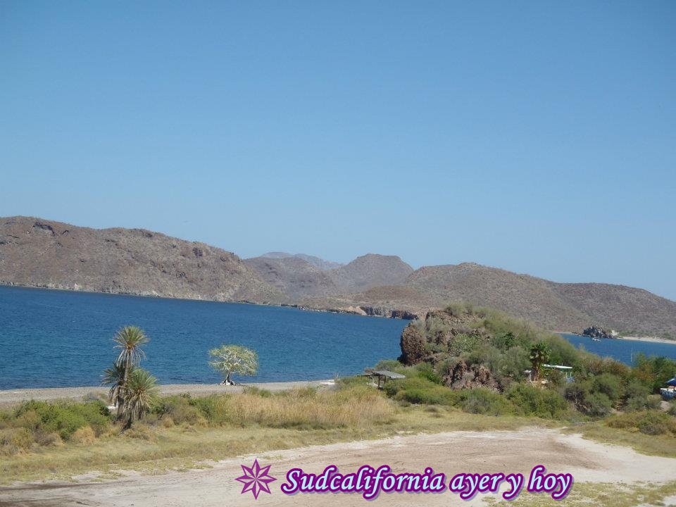 SUDCALIFORNIA DE AYER Y HOY: Juncalito