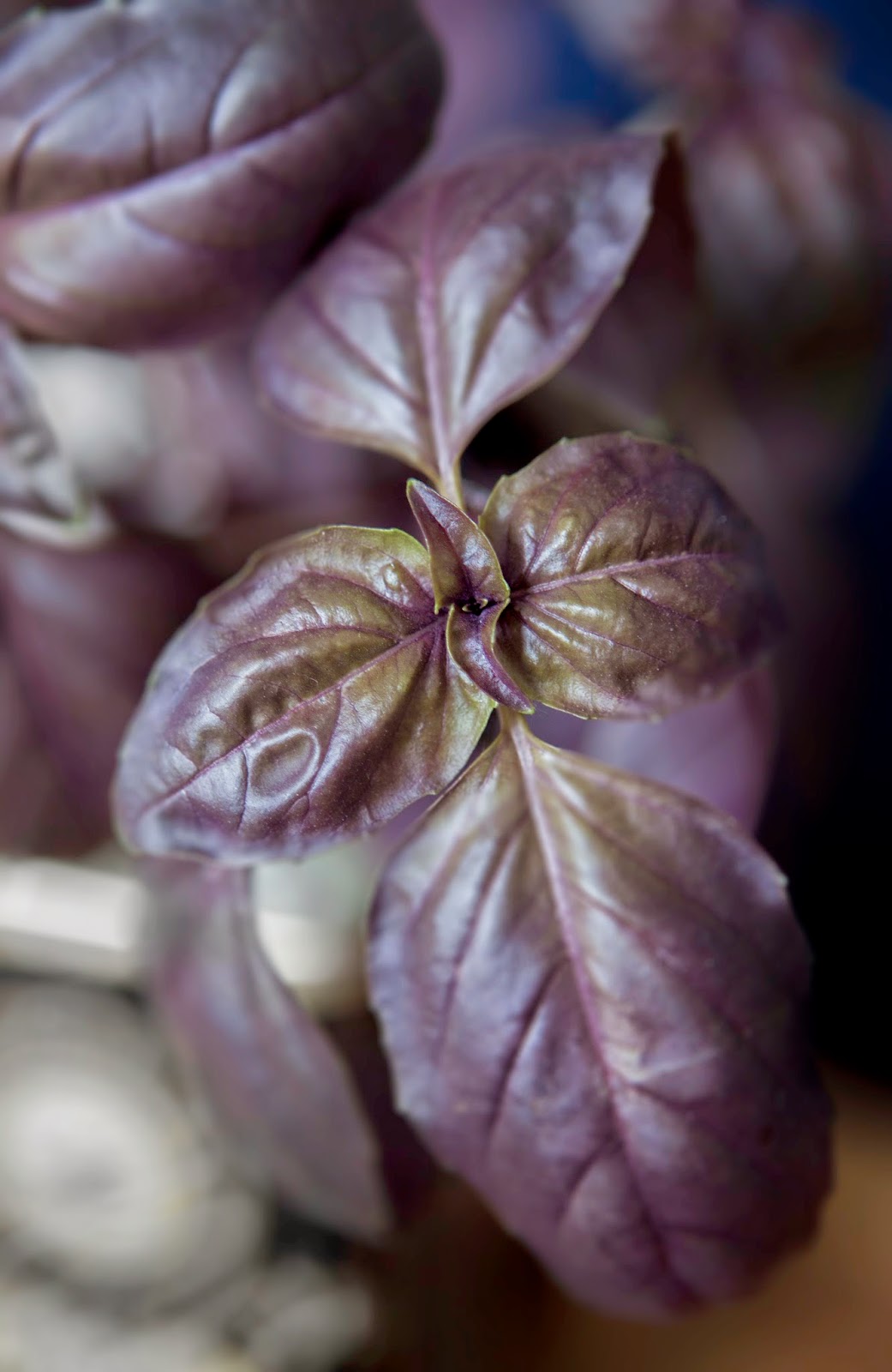 Weekends in the kitchen: Homemade red basil pesto ⁂ Домашно песто с ...