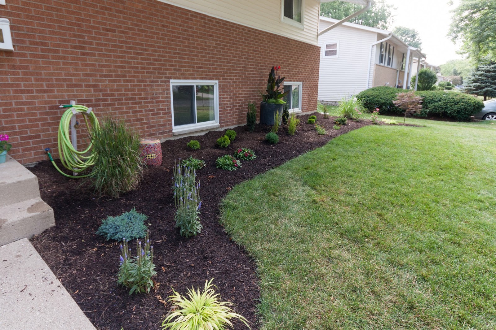 Russet Street Reno: The longest landscaping post ever