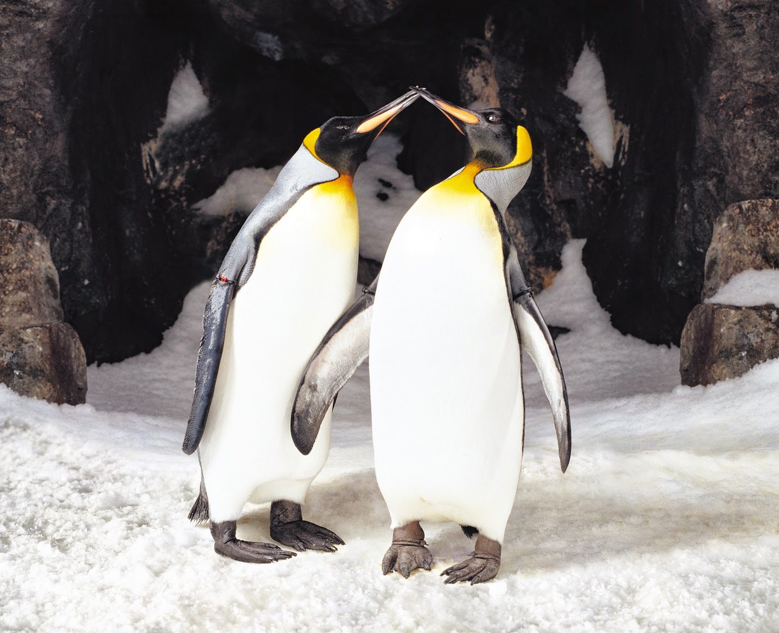 Our Autism Adventures: Seaworld Review: Autism-Friendly And Loads of Fun