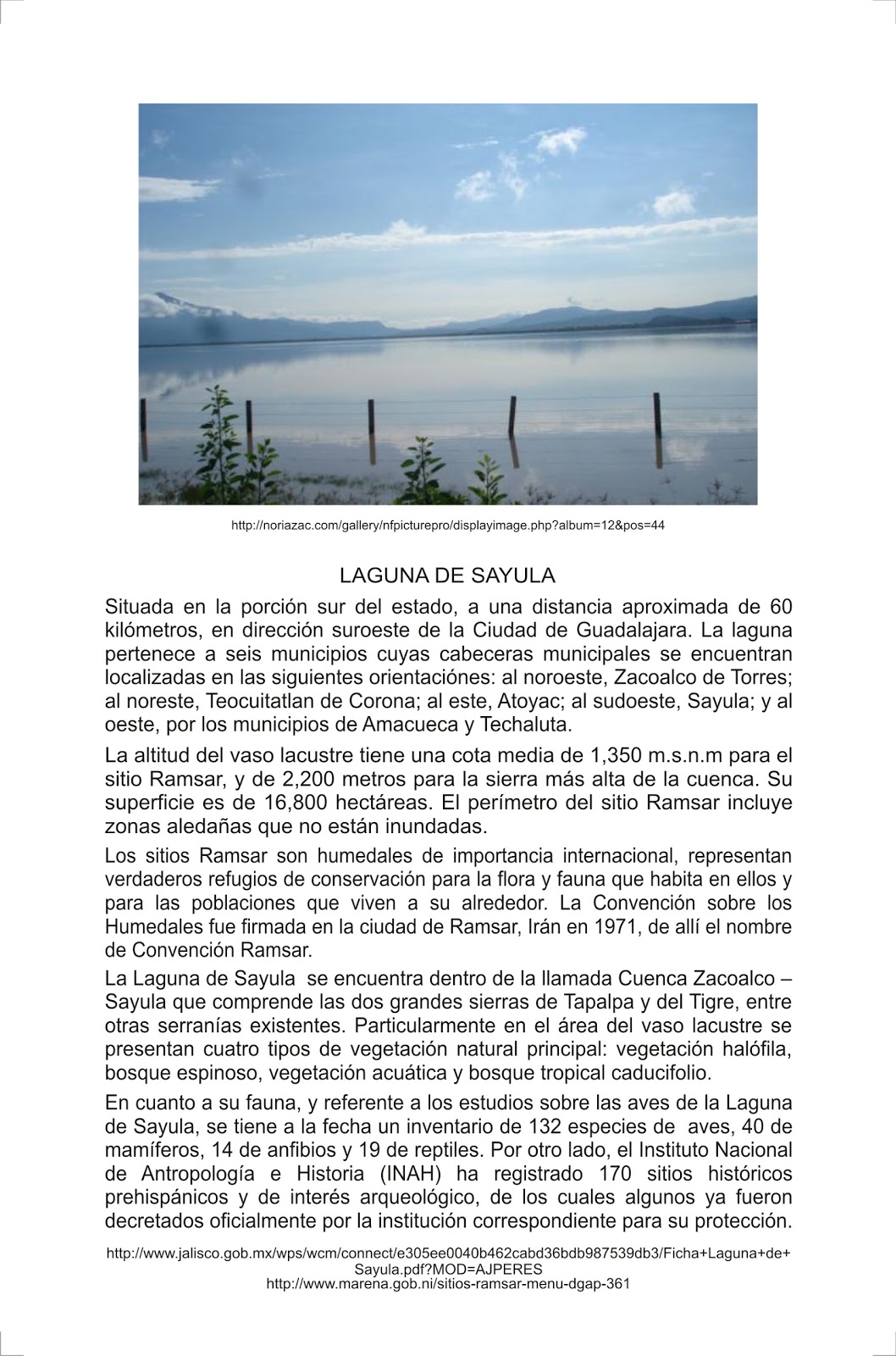 DE JALISCO PARA EL MUNDO: Laguna de Sayula, sitio Ramsar cuyo vaso ...