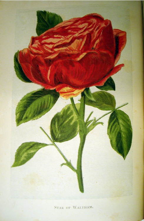 BIBLIOTYPES: abril 2012