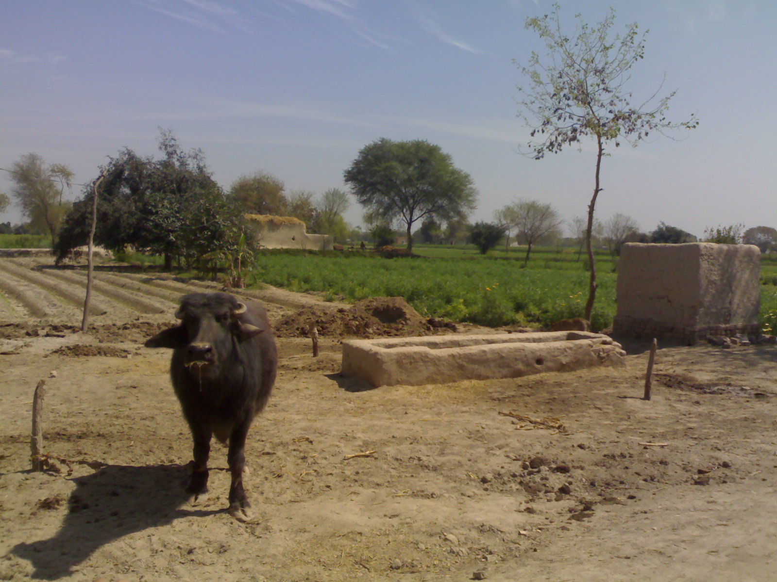VEHARI IS BEAUTIFUL CITY OF PAKISTAN: FAMOUS VILLAGES IN VEHARI