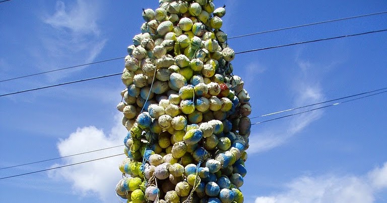 Hong Kong Willie: BUOY, Buoy Tree,BUOYS, IS THERE A WORLD RECORD ...