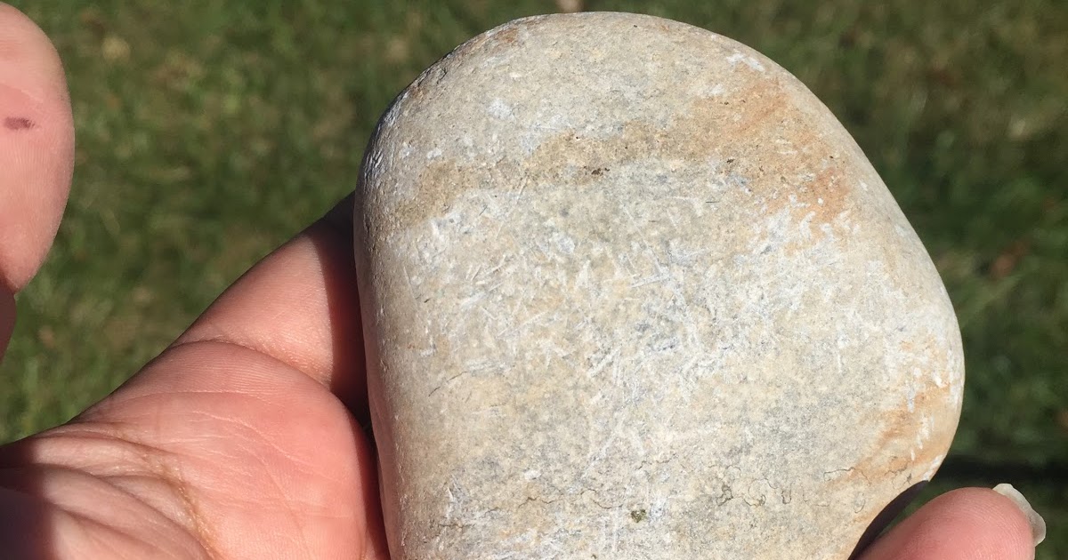 Letters to Hailey : Signs