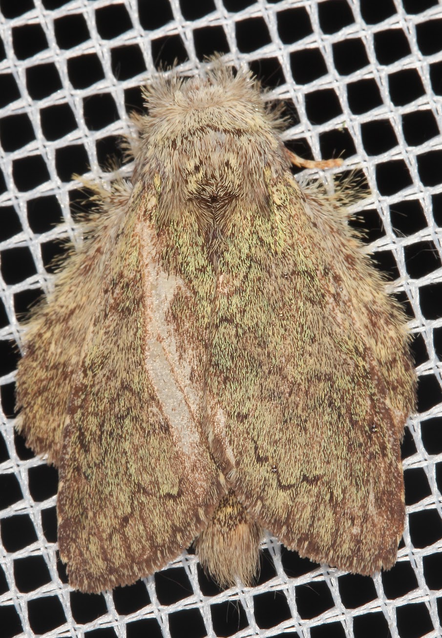 BunyipCo: October 2014