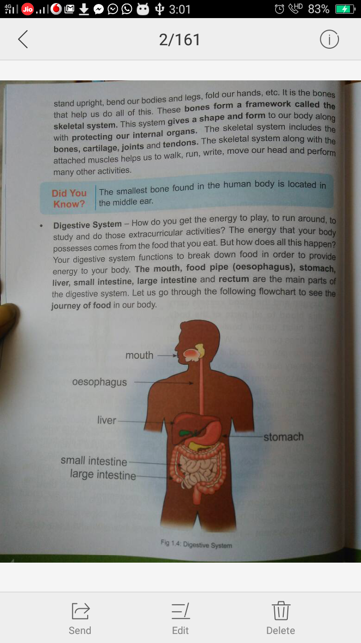 PIS VADODARA STD 4: EVS-HUMAN BODY SYSTEMS