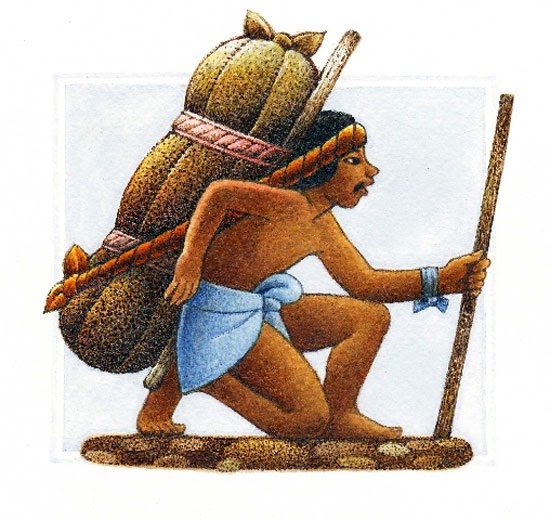 El rincón del boomer (economía del conocimiento): México, el “tameme ...