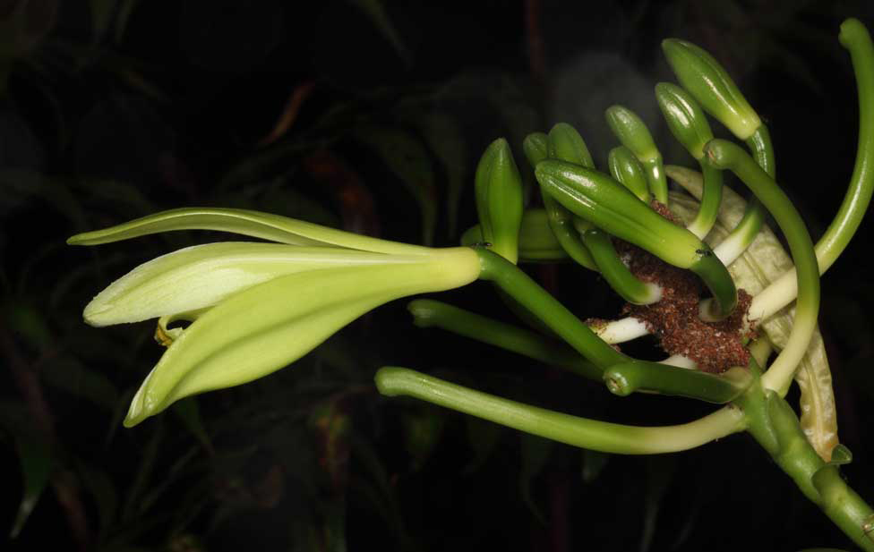 BunyipCo: November 2011