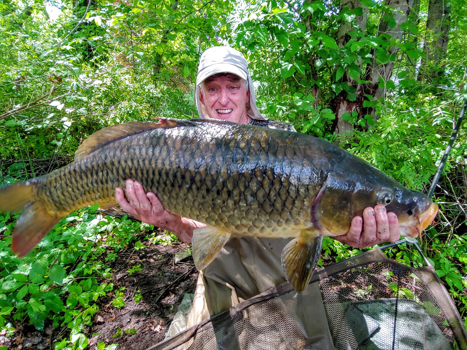 Rhode Island Carp Fishing: RI Record Carp; Biggest Freshwater Fish Ever ...