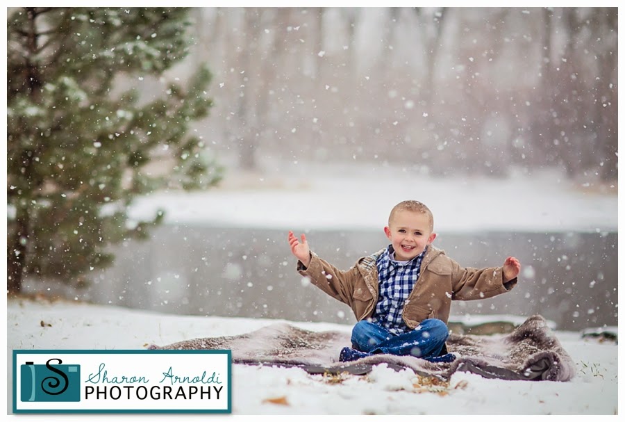 OLD BLOG, NEW BLOG HERE: http://www.sharonarnoldi.com/blog : Highlands ...