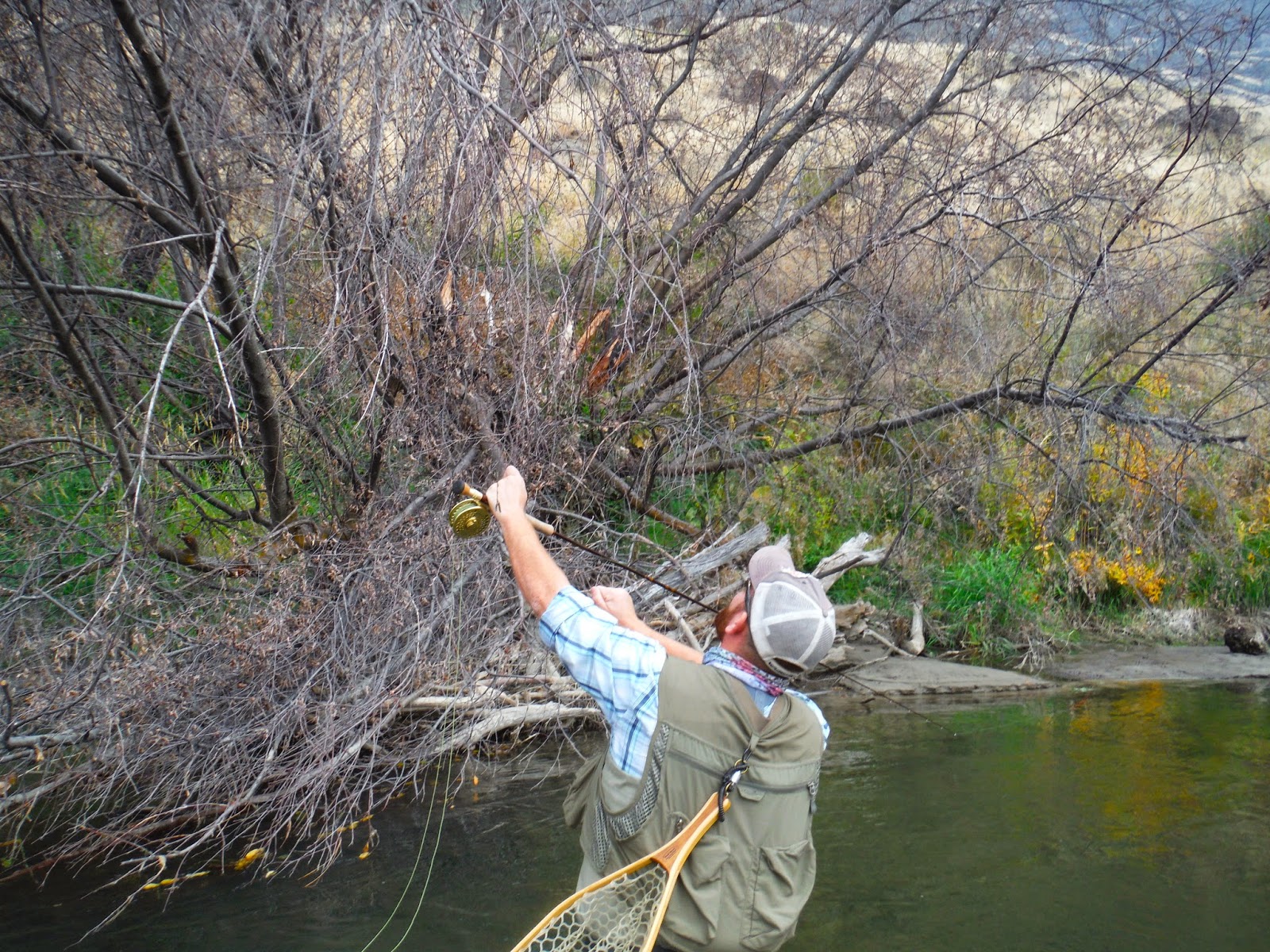 Erik’s Fly Fishing Blog: November 2014