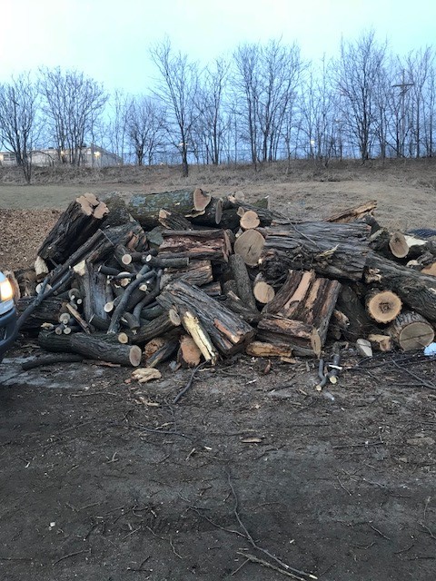 Field Club of Omaha Turf Blog: 2018