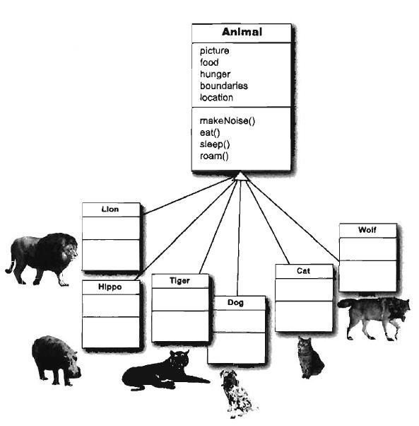 Inheritance: Inheritance And Polymorphism In Java