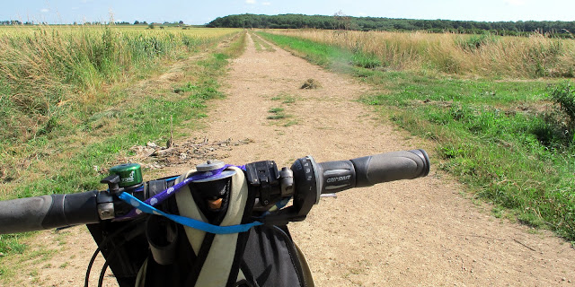 Two Wheels and a Camera: The Water Rail Way (Part 2)