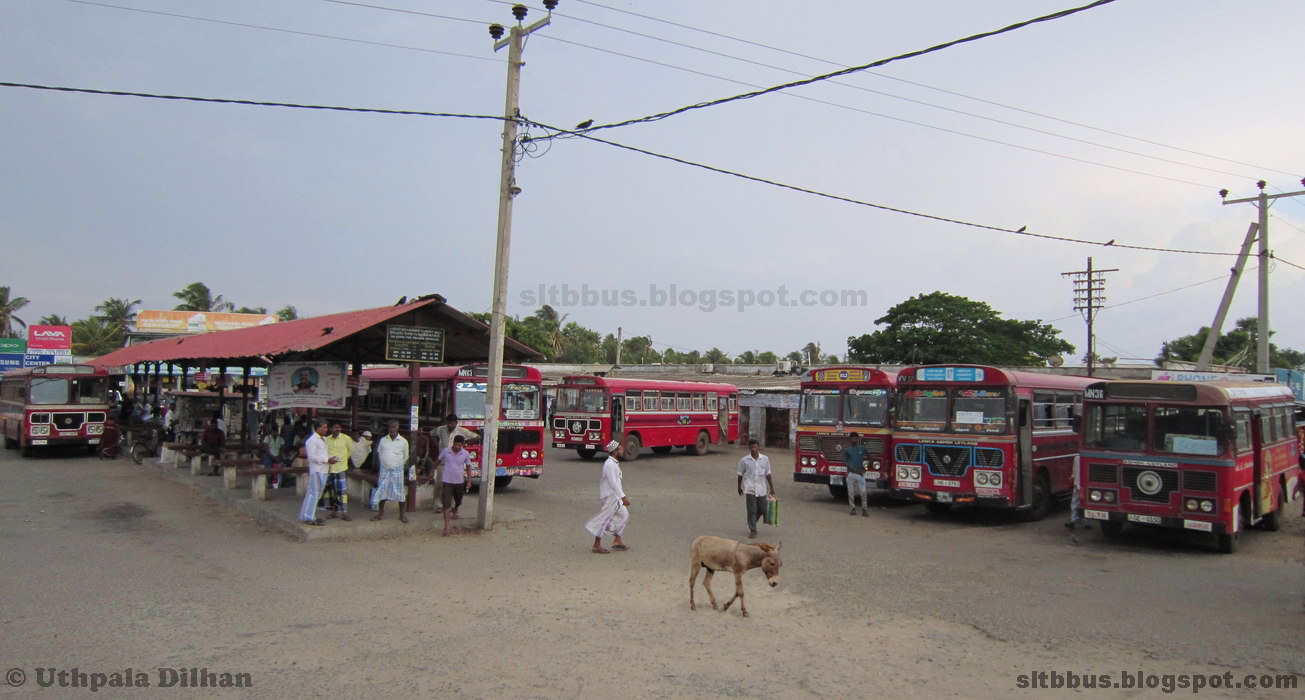 SLTB buses - ශ්‍රී ලංගම බස්: SLTB bus stand - Mannar