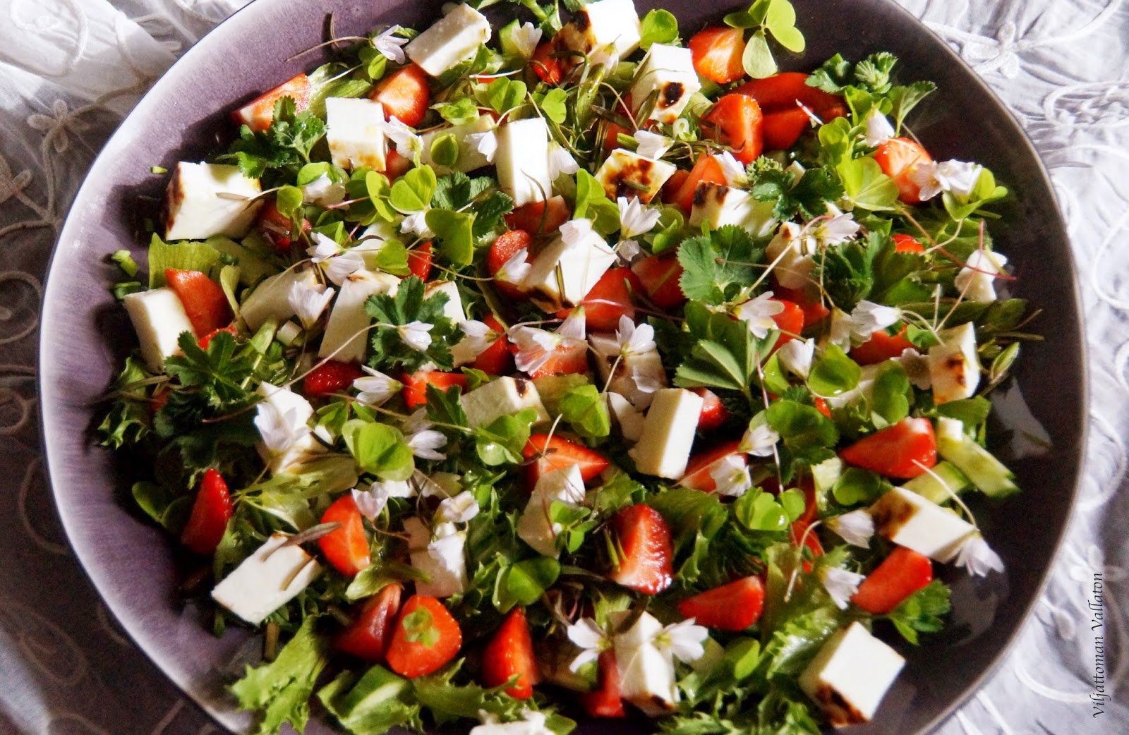 Viljattoman Vallaton: Keväinen salaatti