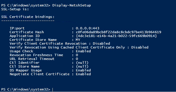 Coding Grounds: Working with Netsh http sslcert setup and SSL bindings ...