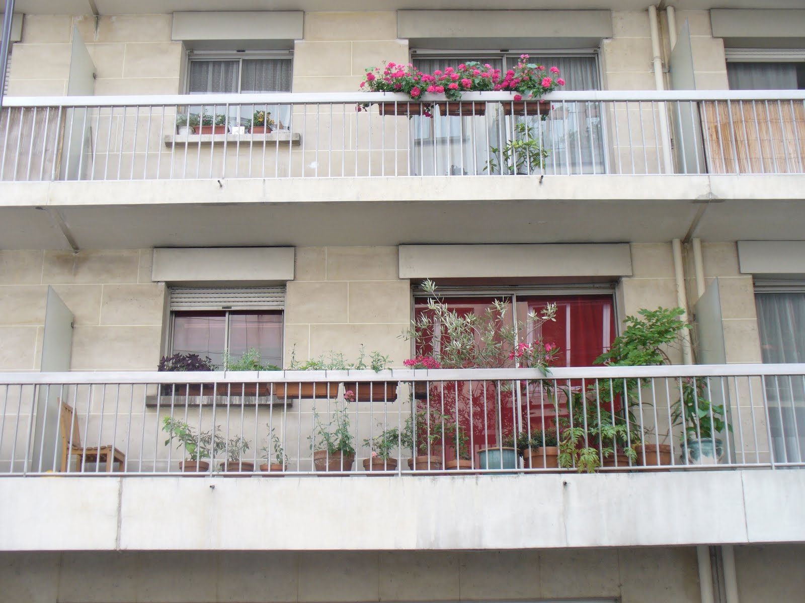 Les balcons de Paris: Le Printemps sur les balcons de Paris.