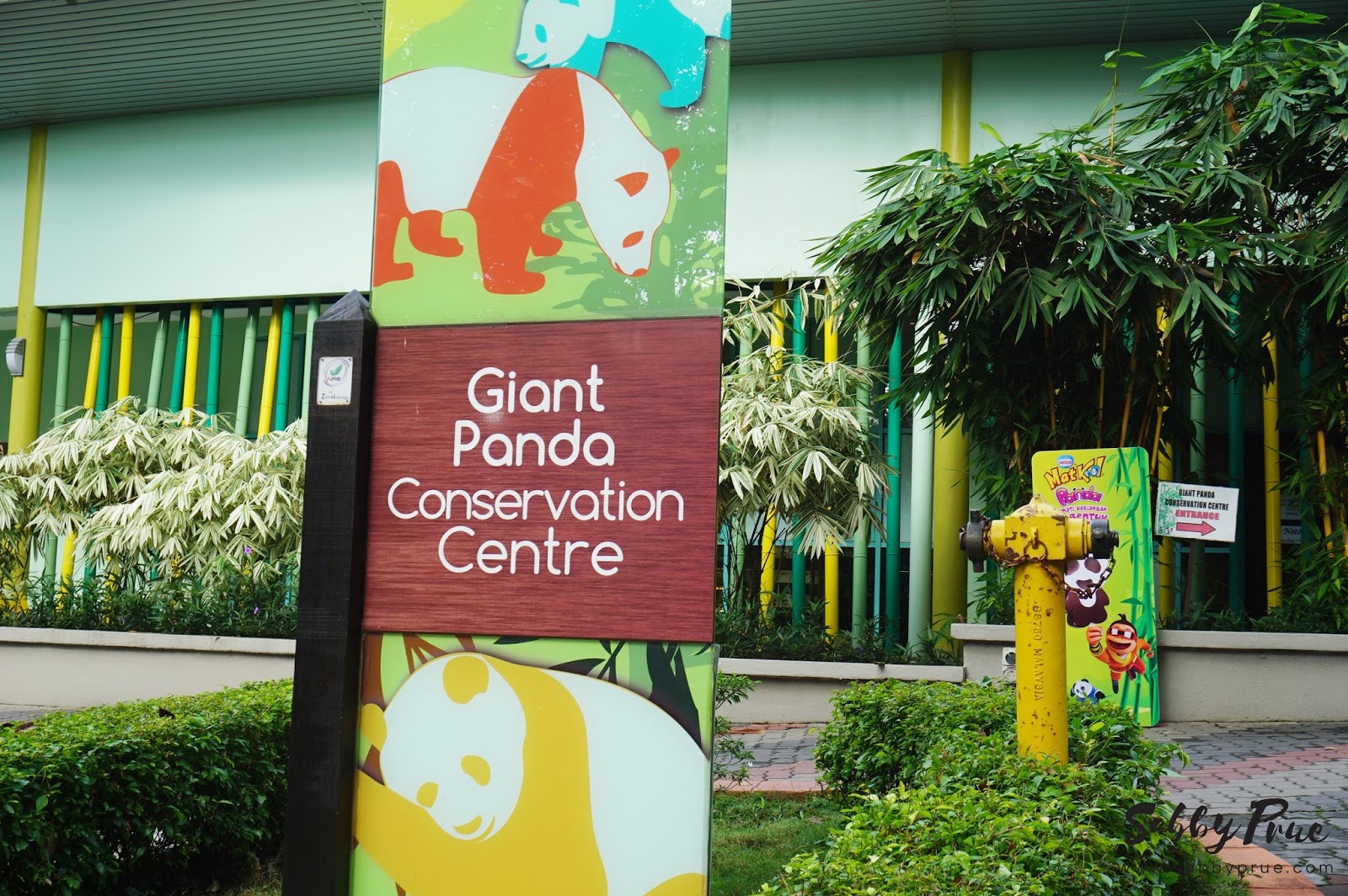 LIFESTYLE | FOOD | MAT KOOL Panda Is Here! - ♥ Sabby Prue : Malaysian ...