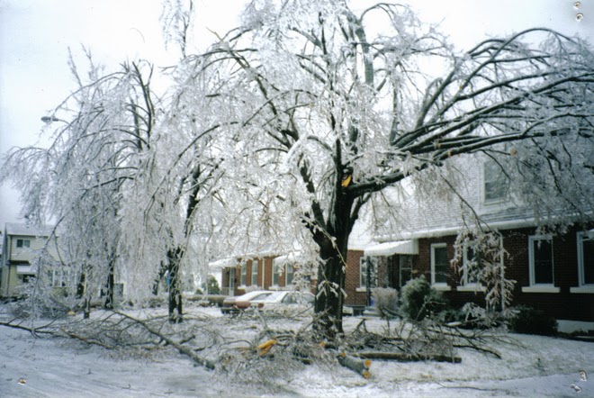 The Adventures of VE3FI: The Ice Storm of 1998......er, 2013