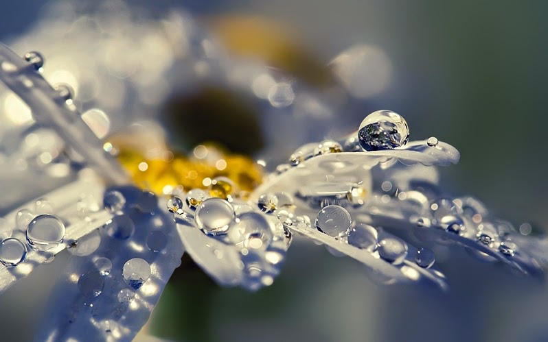 Gioire in Musica: La rugiada della notte