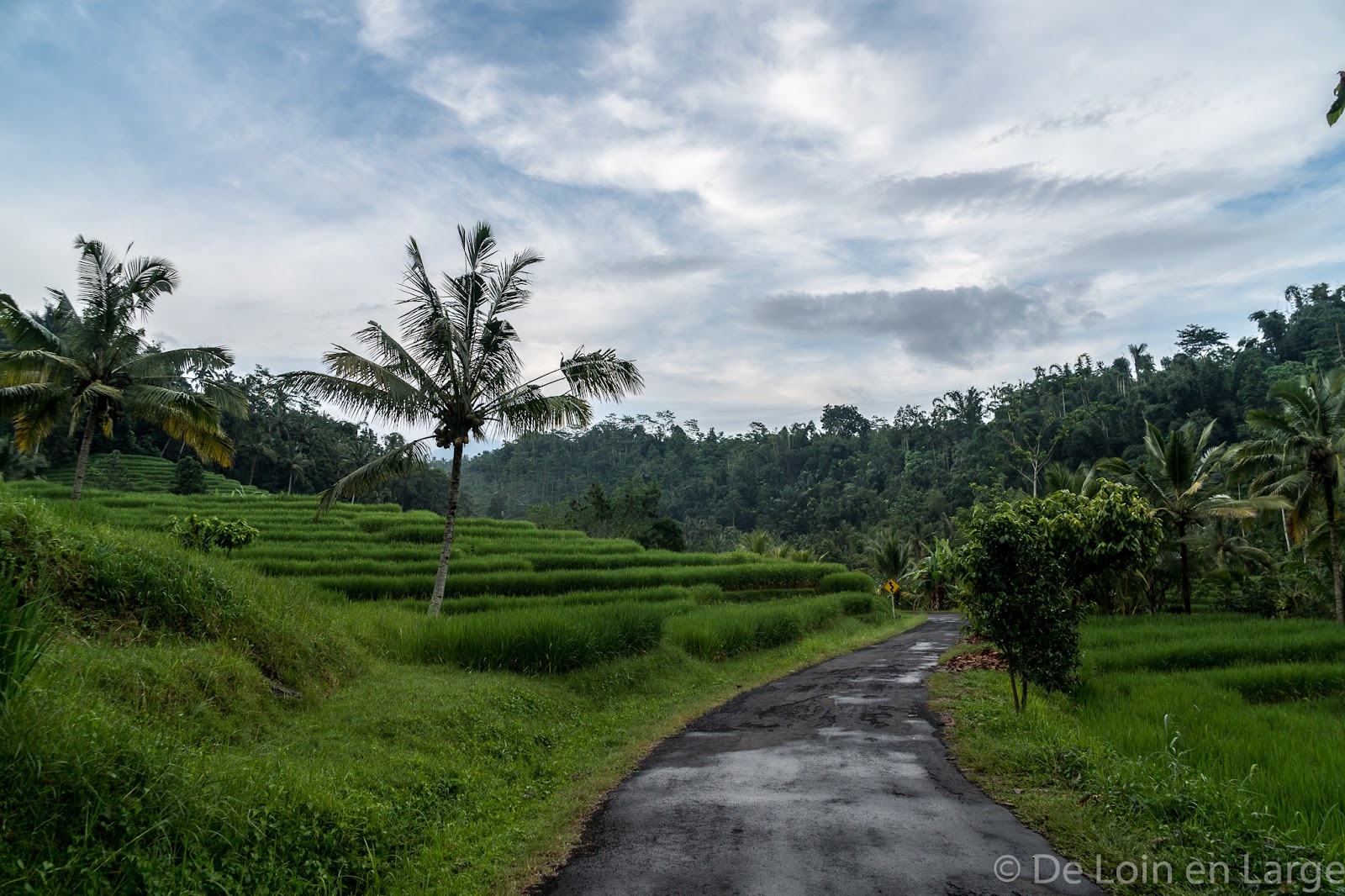 Bali - jour 11 : Spiritualité en rizières, dans les montagnes balinaises