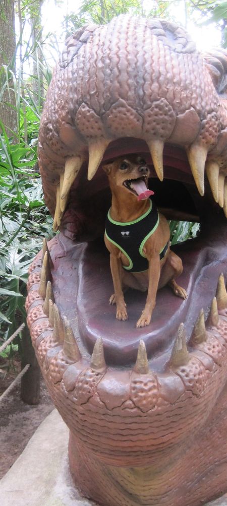 Dinosaurs & Dogs