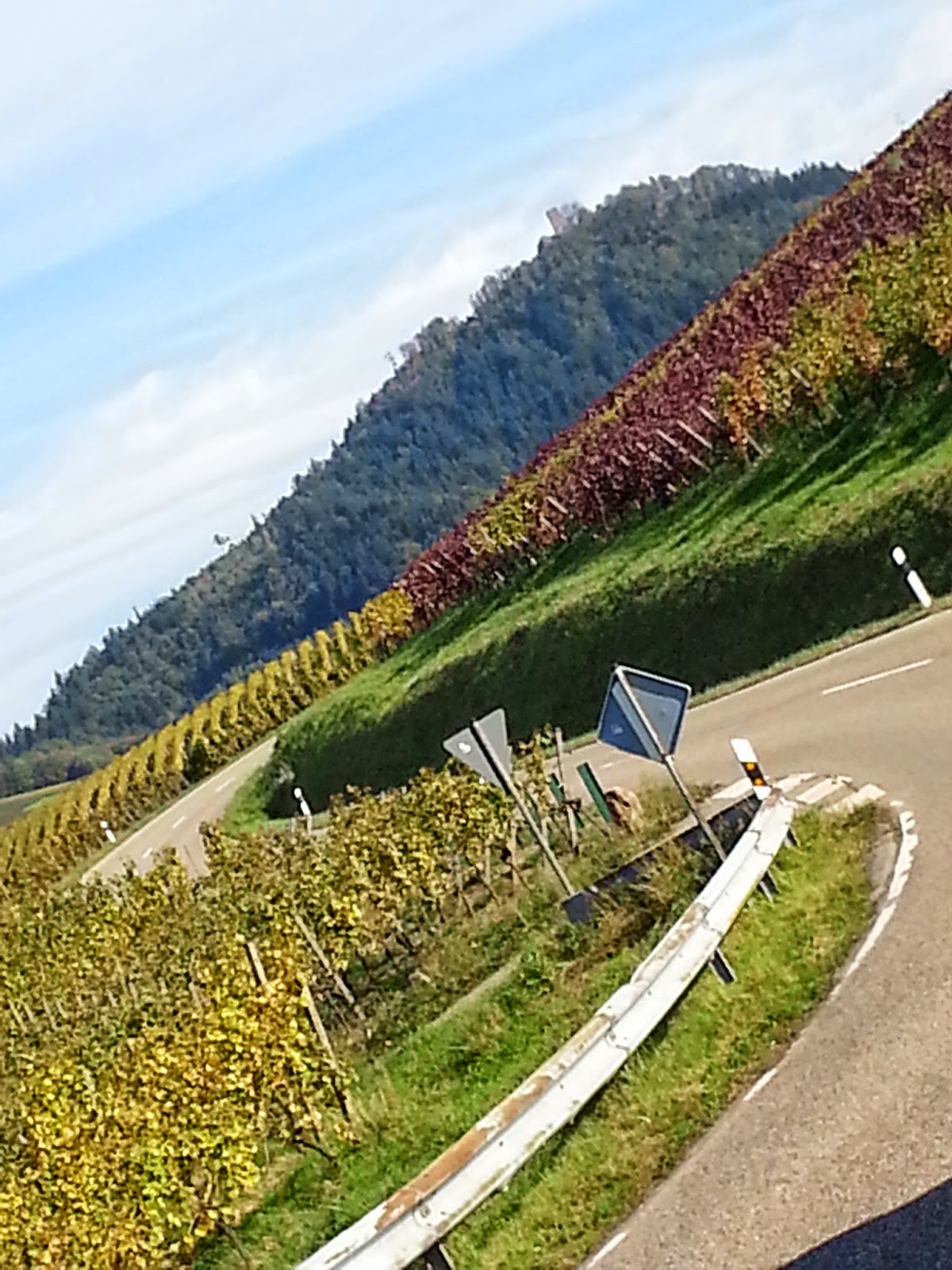 AKTIV-TRAINING: Riding the bike around Baden-Baden