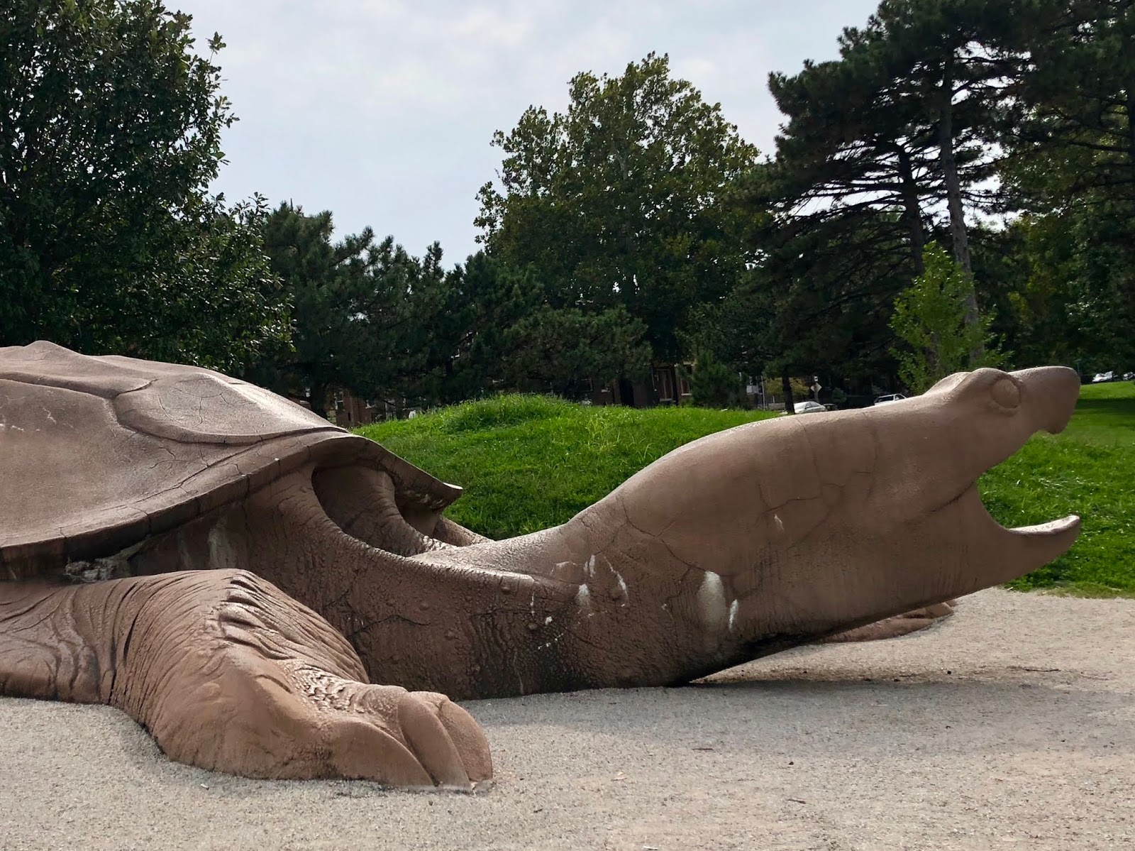 Turtle Playground, St. Louis