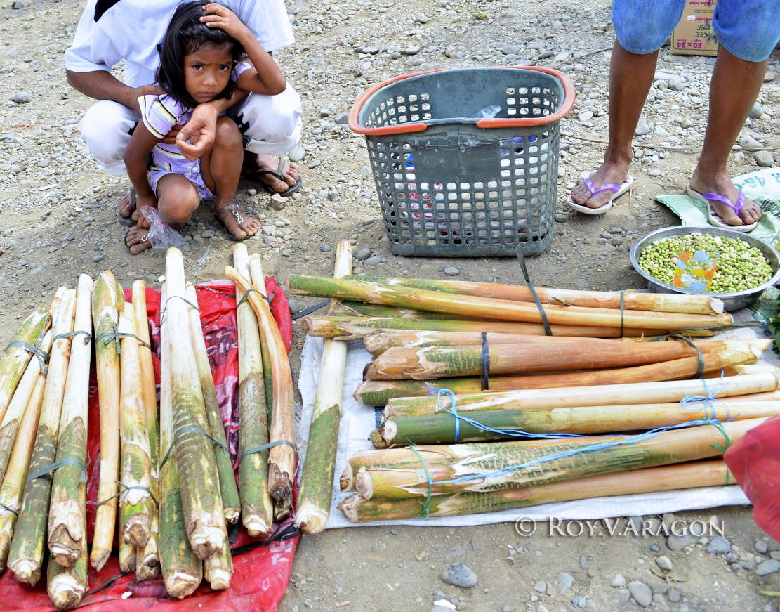 ubog ti way, rattan bud (heart) ~ PINAKBET REPUBLIC