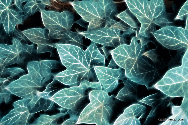 Fractal Autum Leaves