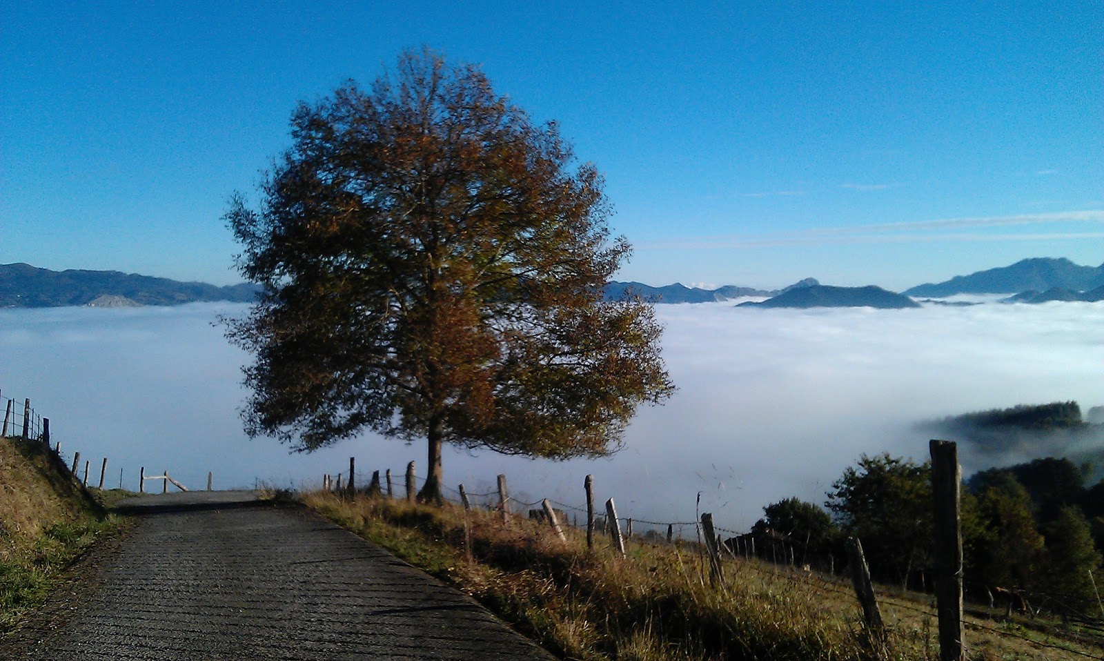 Rutas BTT, LLames de Parres, y algo mas: LLames de Parres - Miyares ...