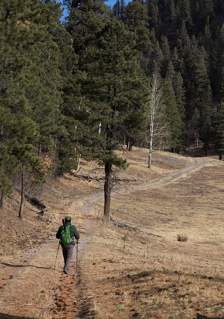 North by Southwest: Jemez Mountains
