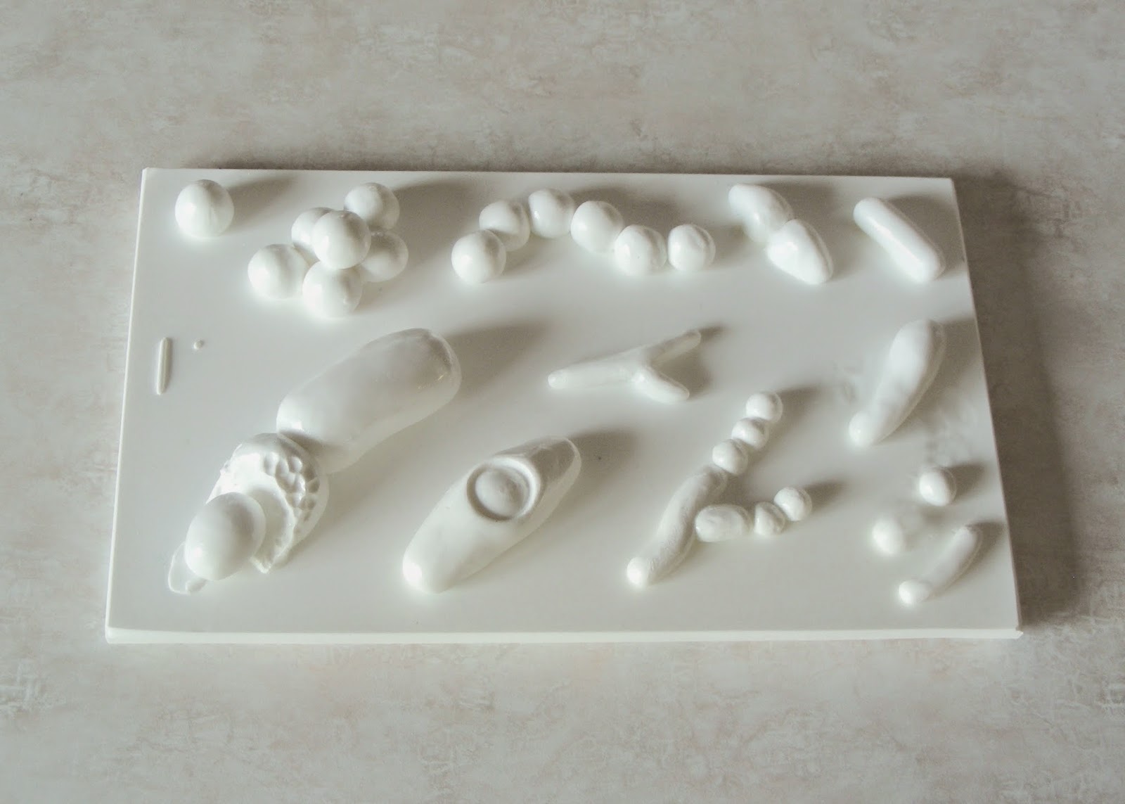 Microbe Models: 2014