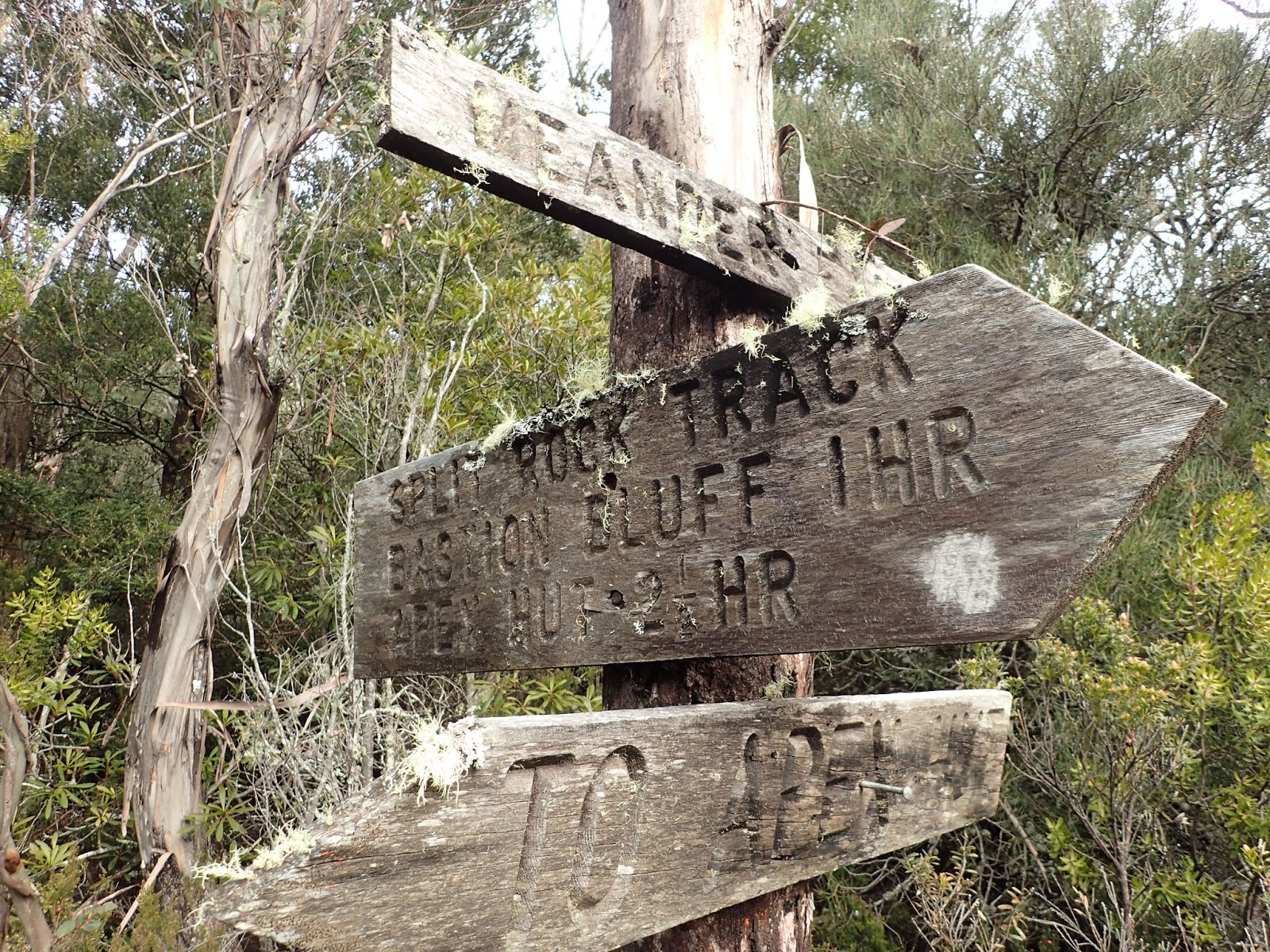 Safarihiker.: Meander Falls, Tasmania.