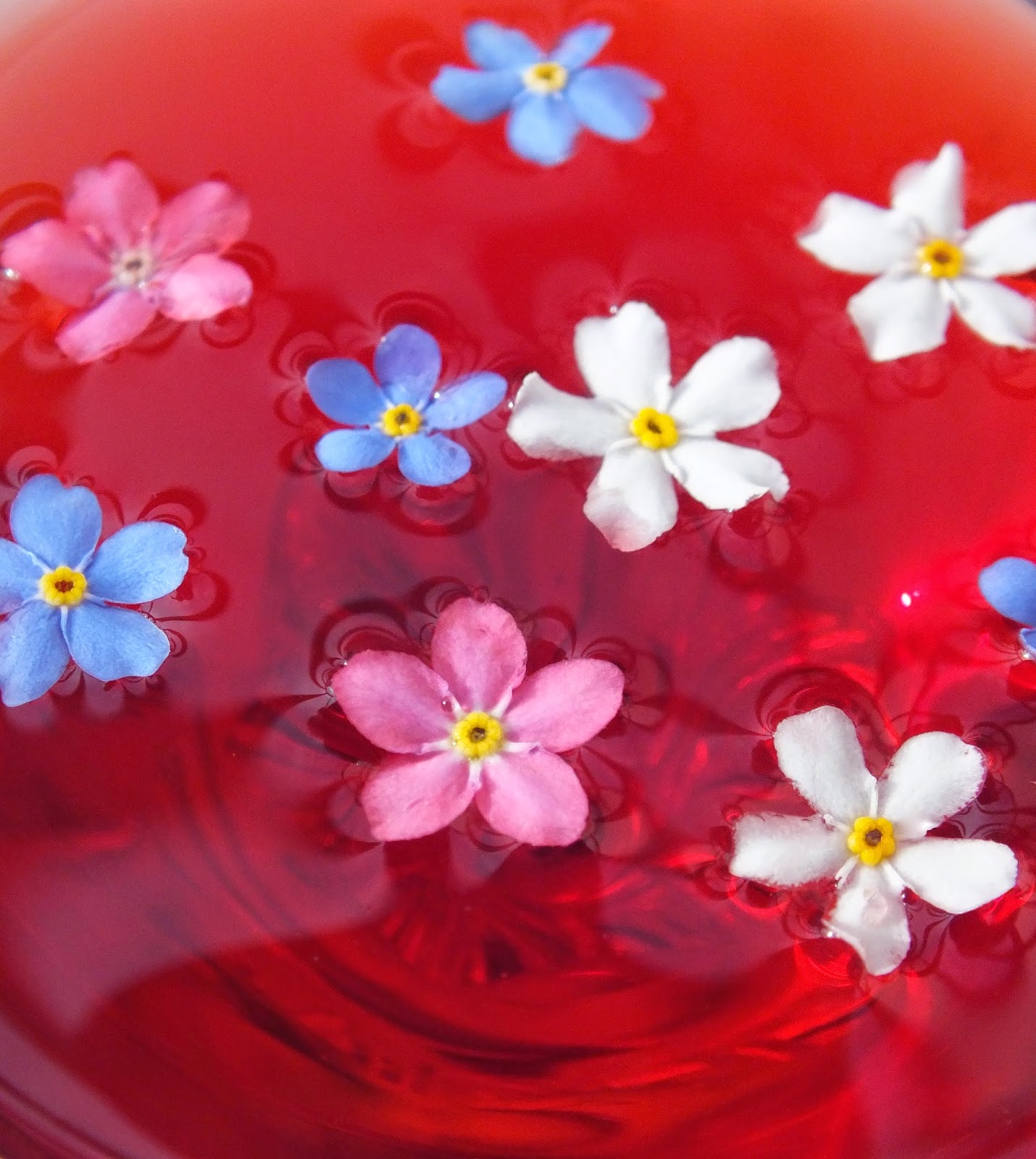 Edible flowers: Forget-me-not Cocktail