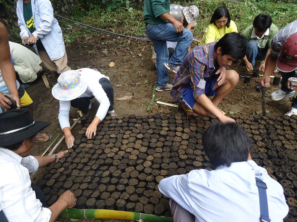 Earth-Caring: Holy Mother Earth the trees and all nature are witness to ...