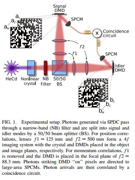 Nuit Blanche: Efficient High-Dimensional Entanglement Imaging with a Compressive-Sensing Double ...