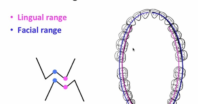 DYNAMIC OCCLUSION - Working vs. Non-working Movement & Occlusal Grid ...