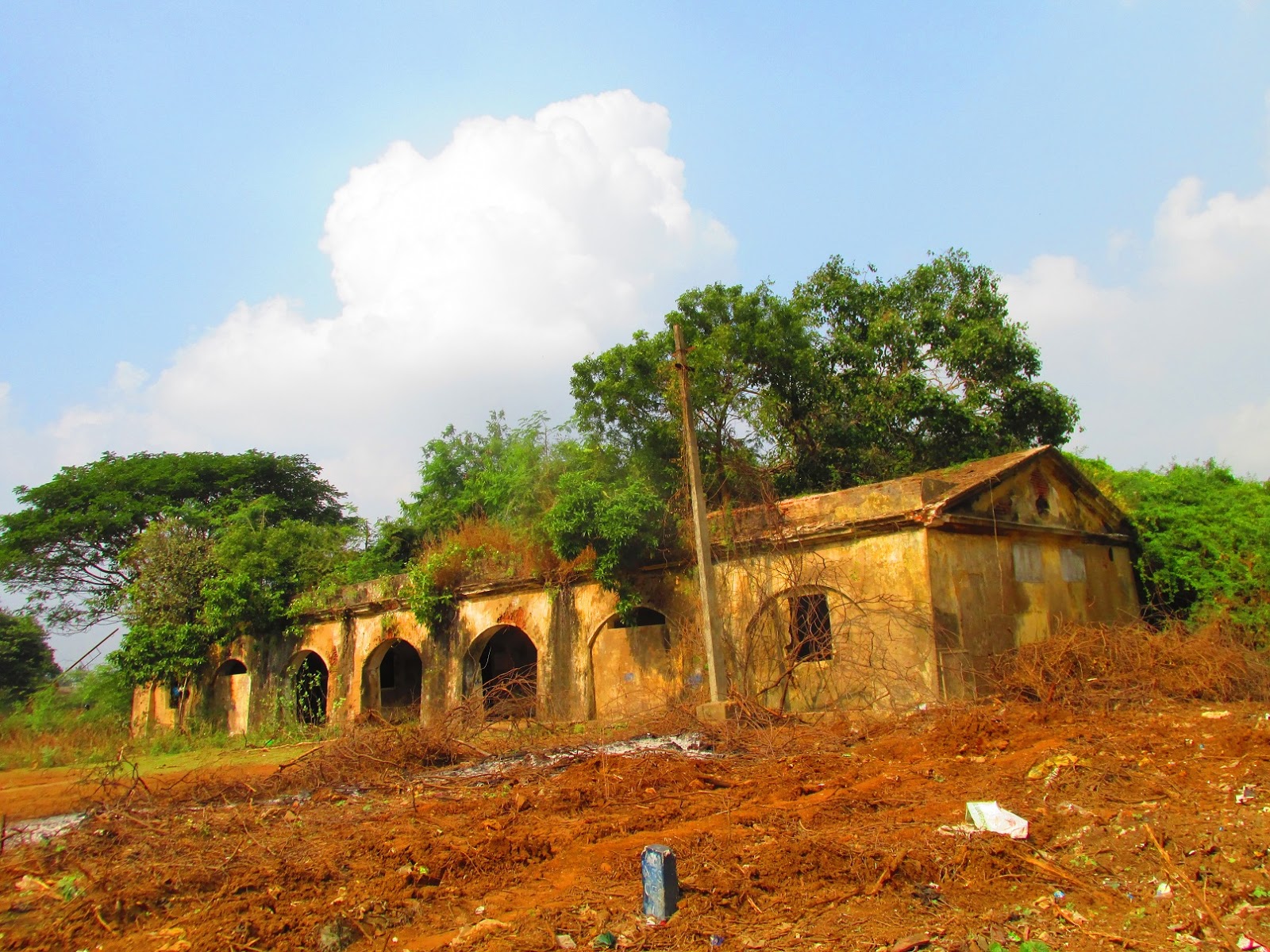 The Anglo Indians of Chennai