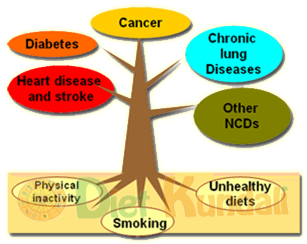 Health Information: Non-communicable Diseases