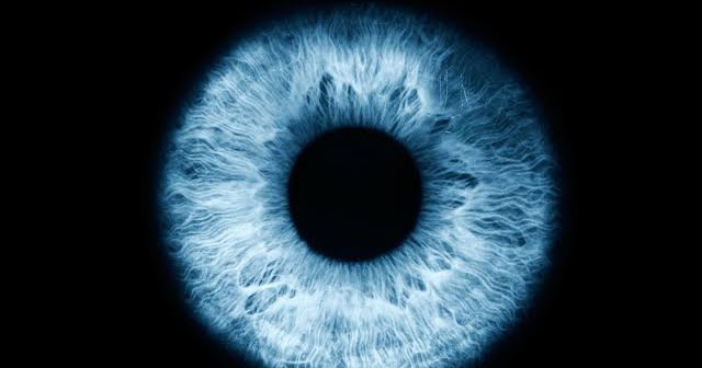 Optometry: IRIS :- Definition , function, Microscopic structure.